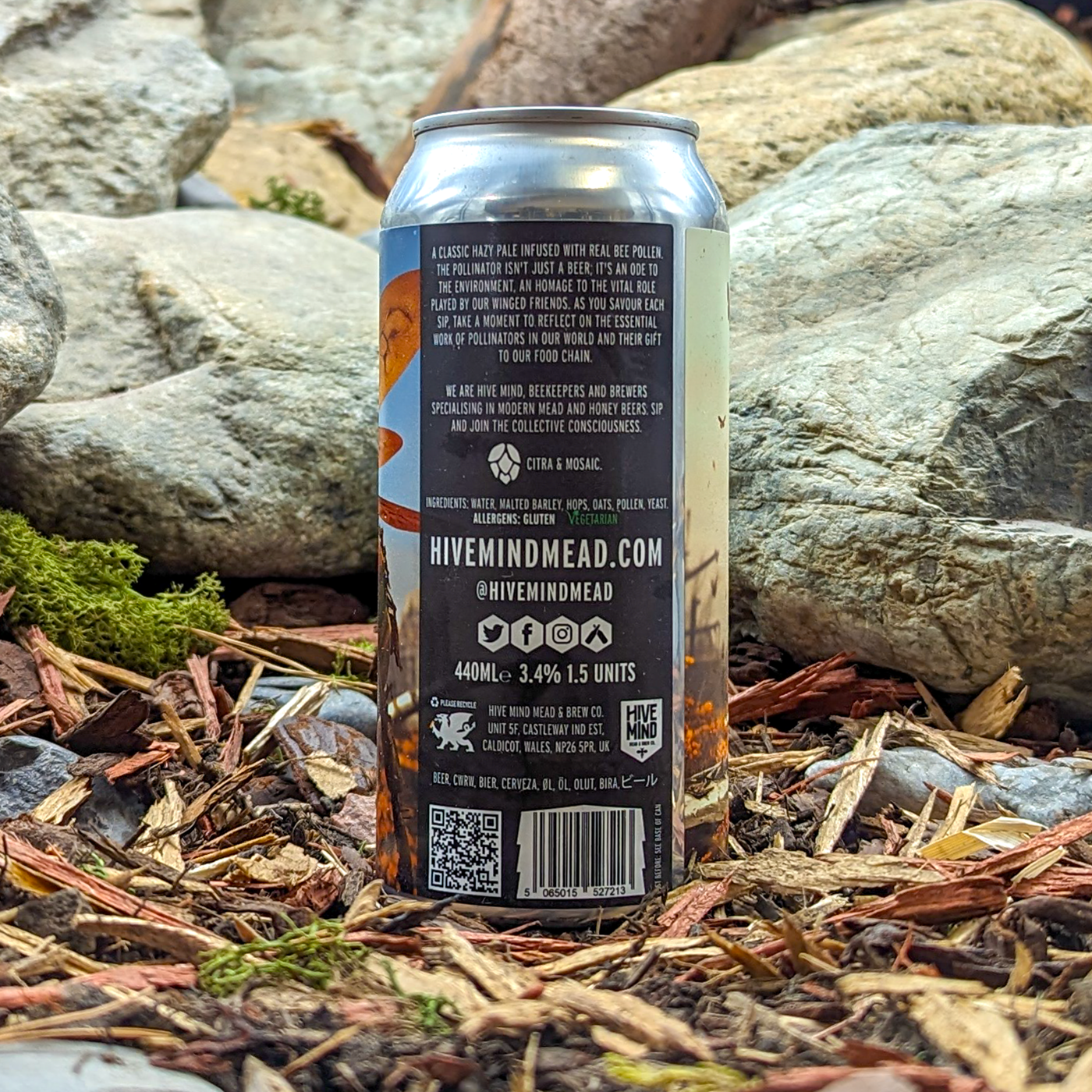 The Pollinator (440ml – 3.4%) - Past best before date – Horns of Odin