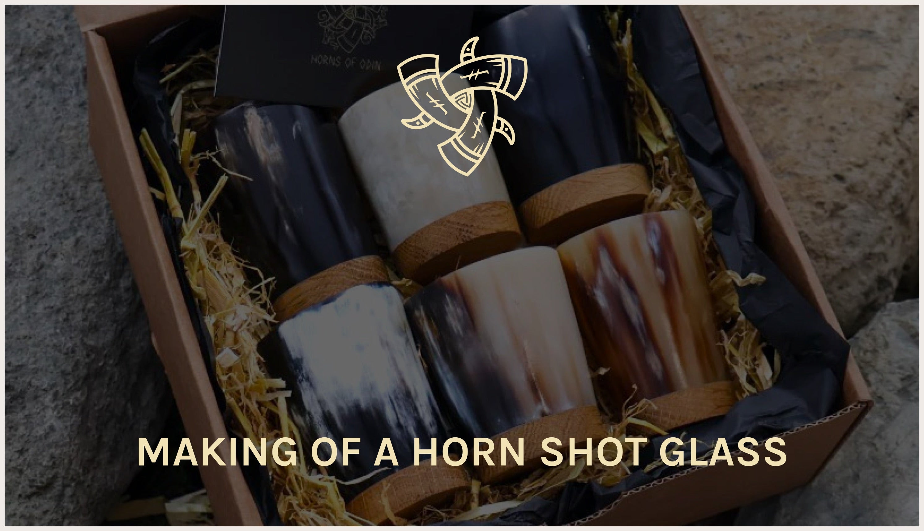 Vegvisir Drinking Horn – Horns of Odin